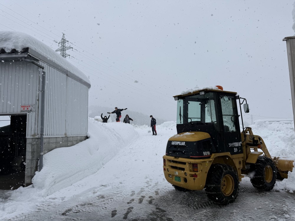サイトトップ | 株式会社新潟ダイハツモータース